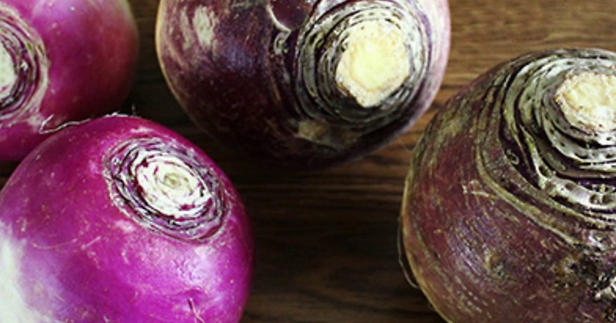 Turnips & Other Root Vegetables are Perfect Winter Fare - Iowa Source