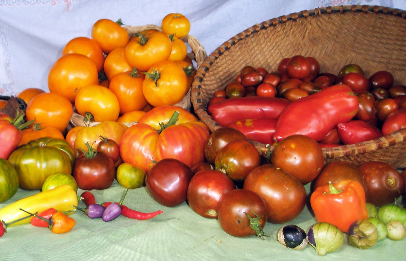 Taste of Heirloom Tomatoes: Sunday, Aug. 26 at Plum Grove - Iowa Source