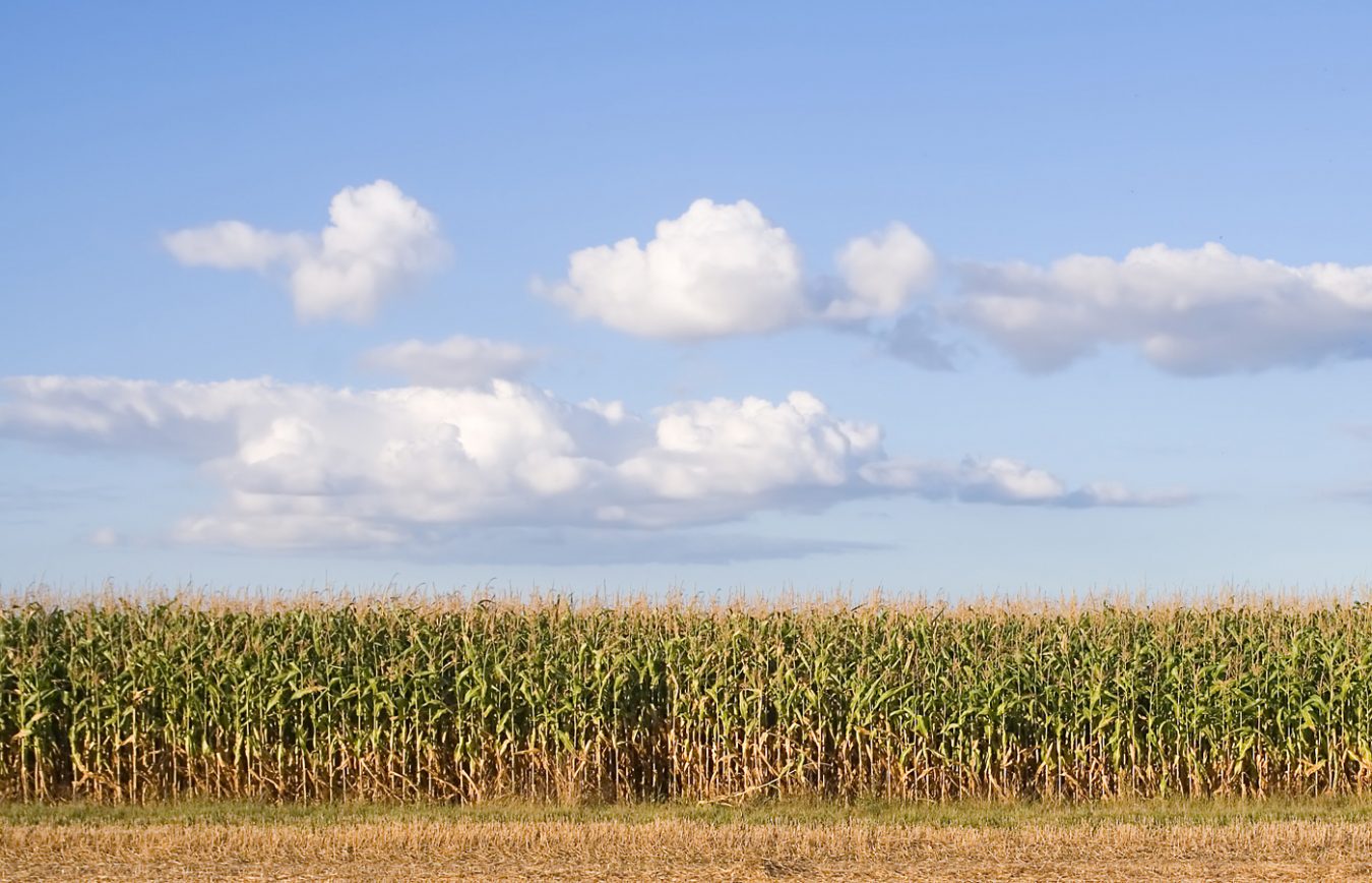 Saving Iowa’s Family Farm: SILT Fundraiser June 20 - Iowa Source