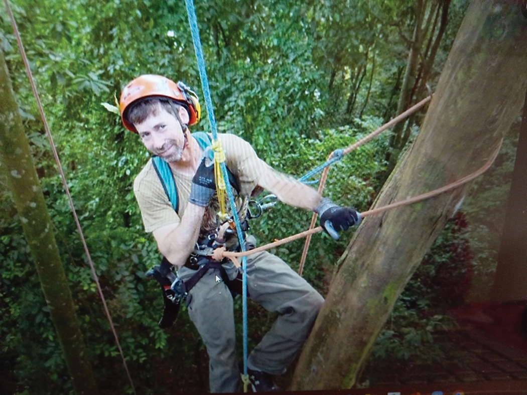 Tree Guy Goes Native: Bringing Back Habitats for Our Birds & Insects ...