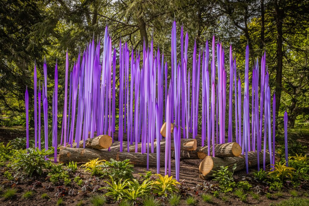 Chihuly in the Garden: The Glass Artist’s Spectacular Sculptures Come ...
