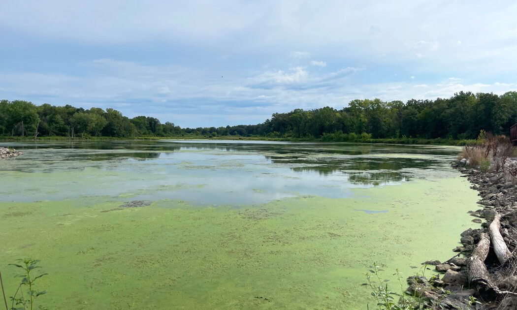 Iowa Water Crisis: What’s Happened to our Lakes and Rivers? - Iowa Source