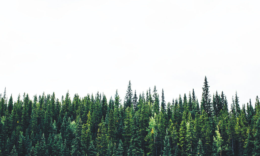 Metaphors & Models: How Do We See the Natural World? - Iowa Source