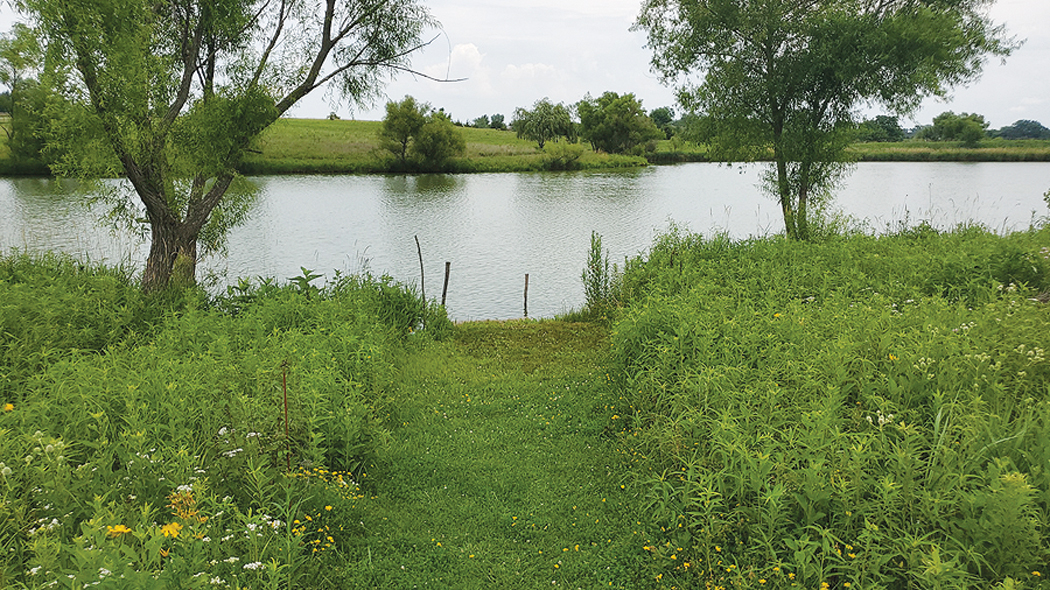 SILT Celebration: Land Trust Celebrates Circle Our Cities Campaign on ...